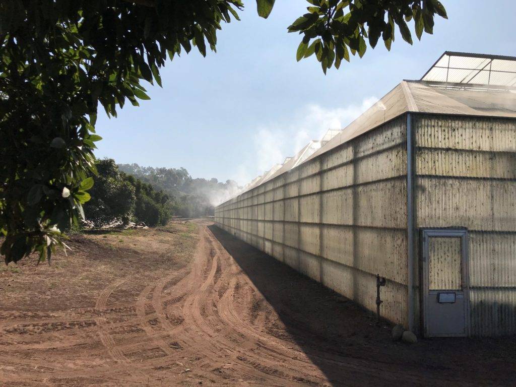 Cannabis Odor Control Systems | Grow Room Odor Removal