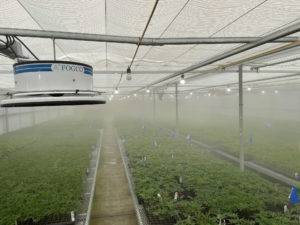 Greenhouse Humidifiers | Climate Control Systems | Fogco
