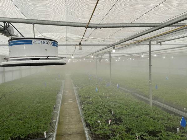 Greenhouse Humidifiers | Climate Control Systems | Fogco