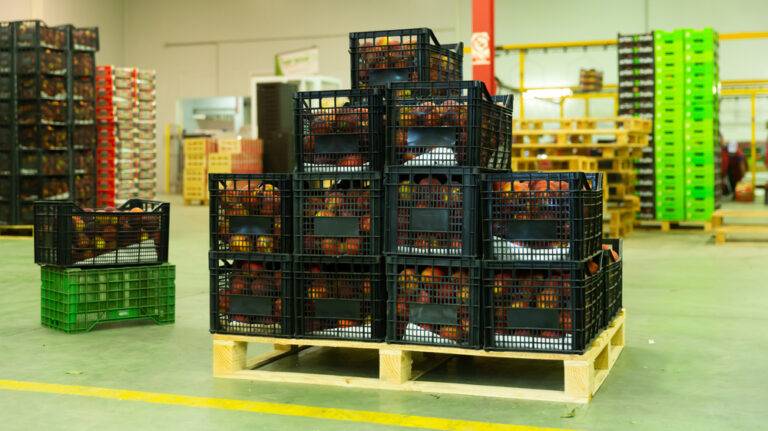 Ripening Room Humidification Systems