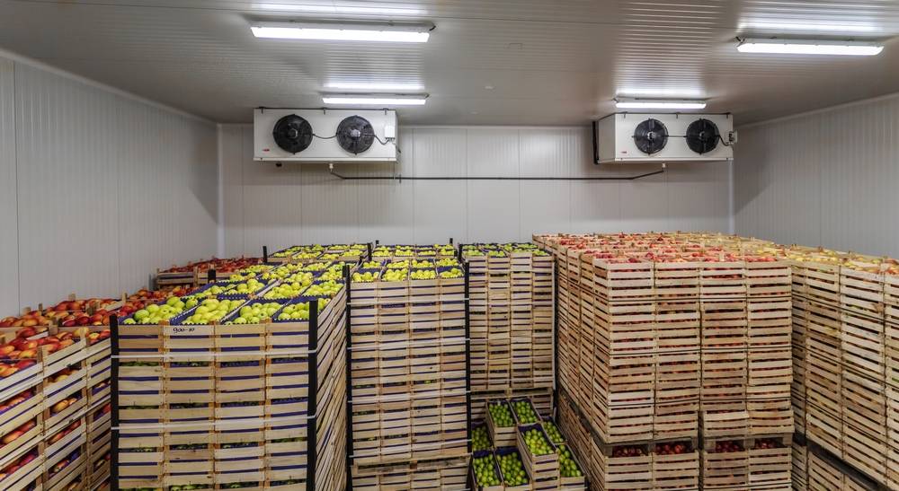 Ripening Room Humidification Systems