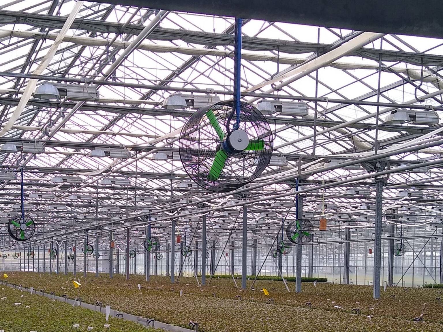 Mist & Fog System Blog | Fogco